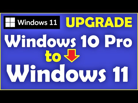 How to Upgrade Windows 10 Pro to Windows 11 Pro without Data Loss