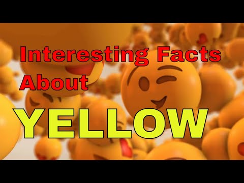 5 Interesting Facts About The Color Yellow