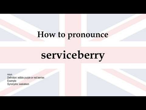 How to pronounce 'serviceberry' + meaning