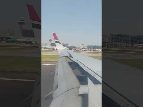 Plane landing in the world's number 1 Airport 🇸🇬 .Moonlight Family 🌙 .