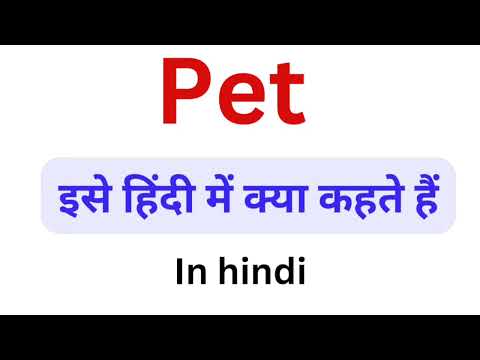 Pet meaning in hindi | pet ko hindi mein kya kahte hai | hindi meaning of pet