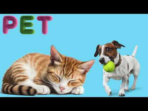 Three letter words in English | With Simple example | BUSH Papa & Bro | Part 6