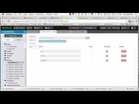 Creating Mobile App with Salesforce API, Barcode Scanner, PhoneGap ...