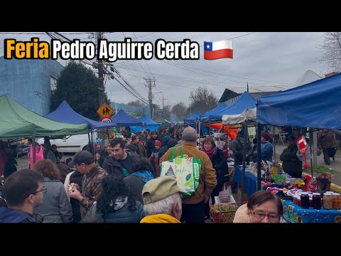 THIS IS WHAT SOUTHERN CHILE'S FAIRS ARE LIKE - Pedro Aguirre Cerda Fair | Osorno 🇨🇱