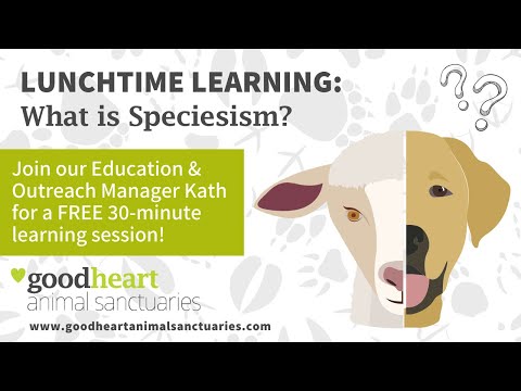 Lunchtime Learning - What is Speciesism?
