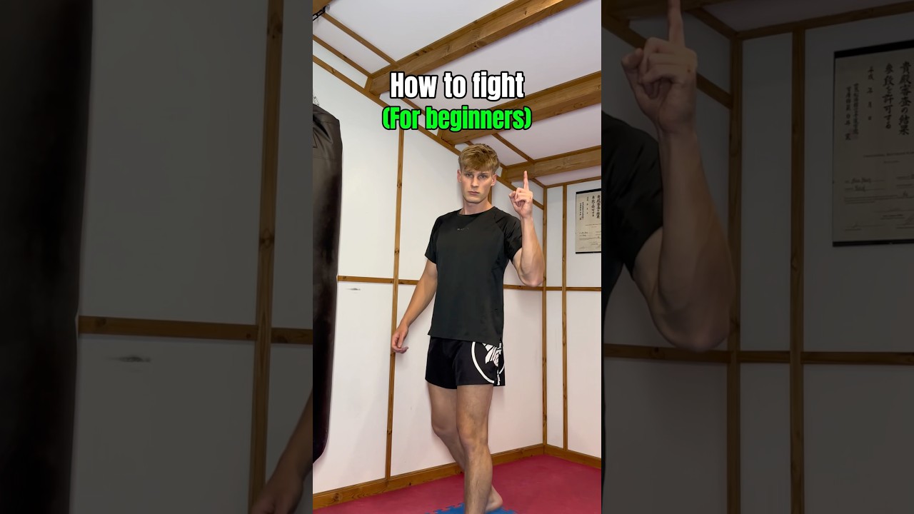 How to fight (for beginners)