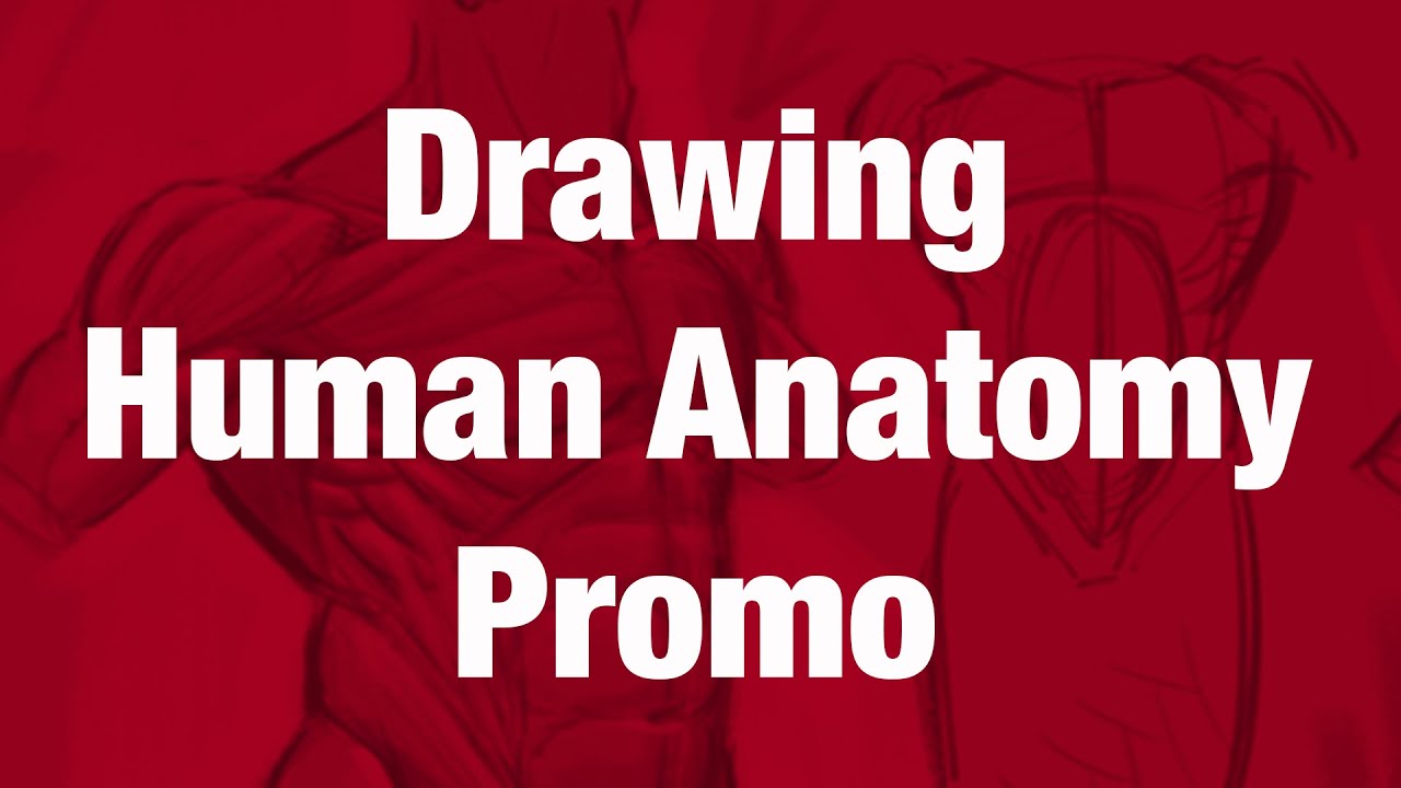 Figure Drawing Tutorial - Drawing Human Anatomy Promo