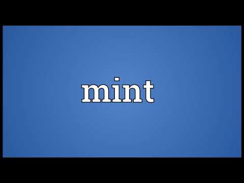 mint meaning in english
