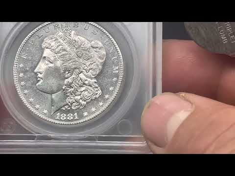 What Would You Do? Ms66 Dmpl in a Segs Going Cheap