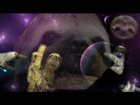 Sloth in Space