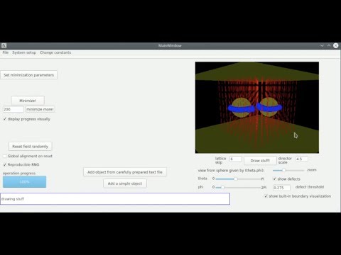 Liquid crystal modeling | Daniel Sussman