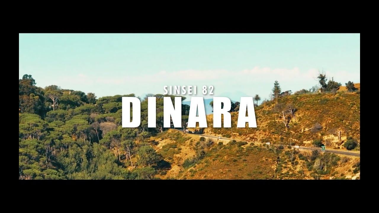 Sinsei 82 - Dinara | Afrobeats music review on Nagamag