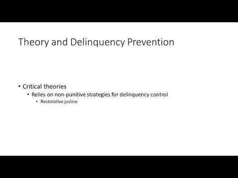 Social Structure and Social Process Theories and Delinquency Prevention
