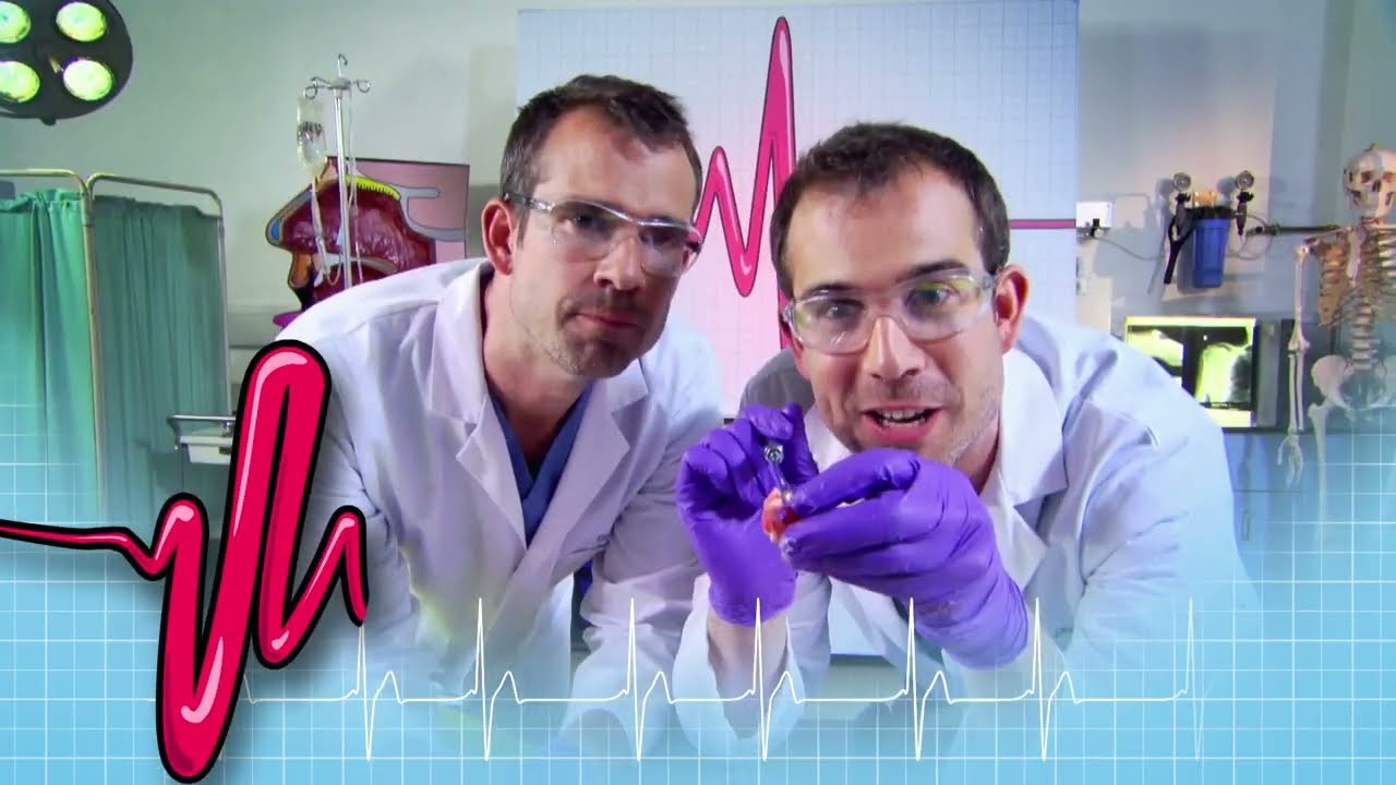 Operation Ouch! Live On Stage coming to QPAC