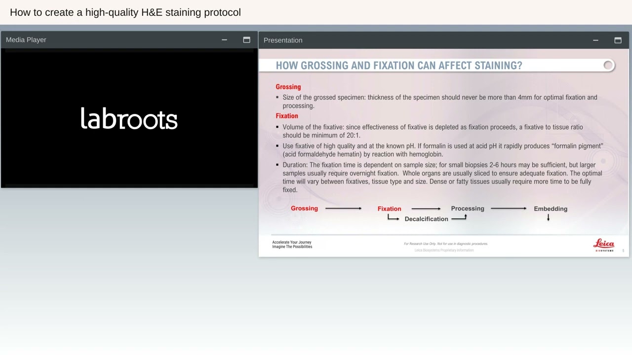 How to create a high quality H&E staining protocol