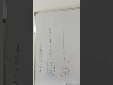 Inhibitors of DNA Replication // Biochemistry// #dnareplication #inhibitors #inhibitor