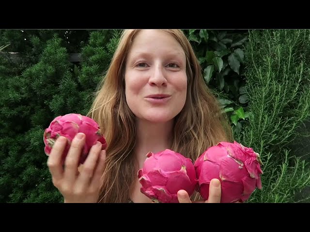 JURASSIC FRUIT | #1 in Organic Exotic Fruits, Dates & Nuts