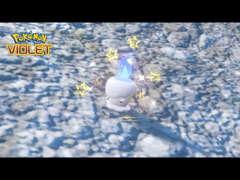 Shiny Litwick! ~ Pokémon Scarlet And Violet Teal Mask DLC