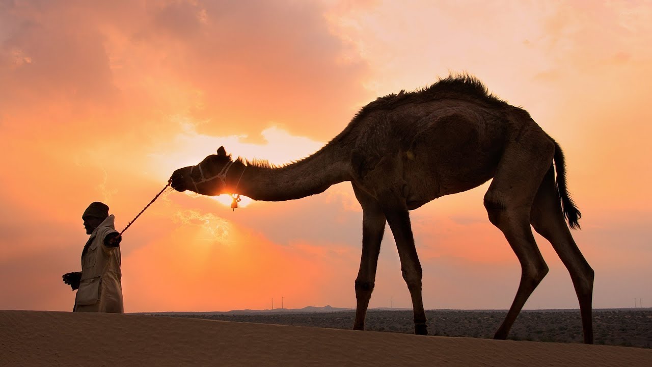 THE EXODUS EXPLORED—A Road in the Wilderness