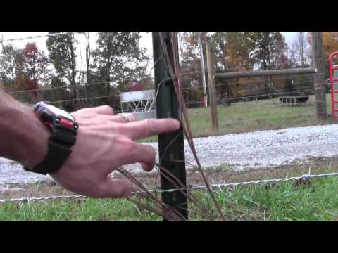 Barbed Wire and T-post fence spacing