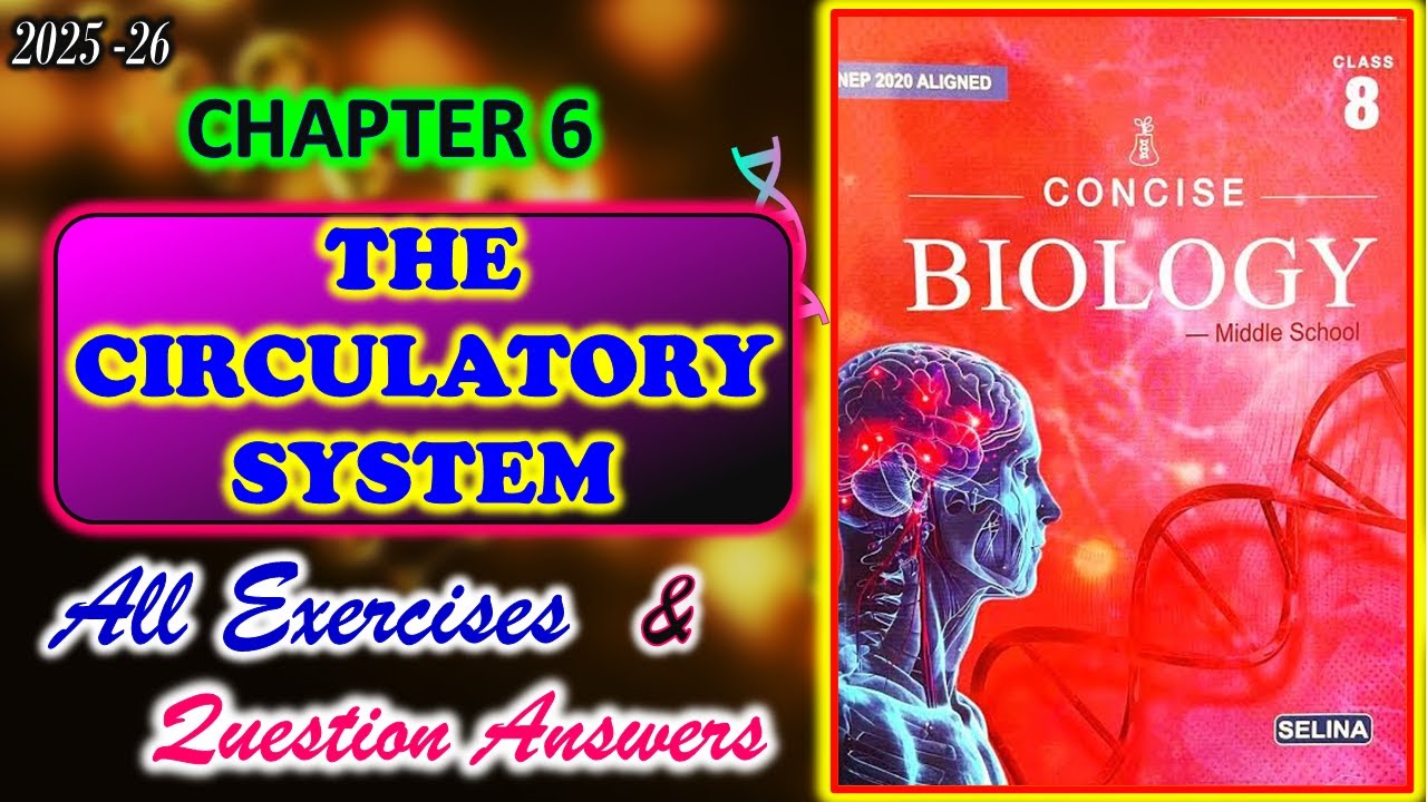 The Circulatory System | Class 8 Biology Chapter 6 | All Answers | 2025-26