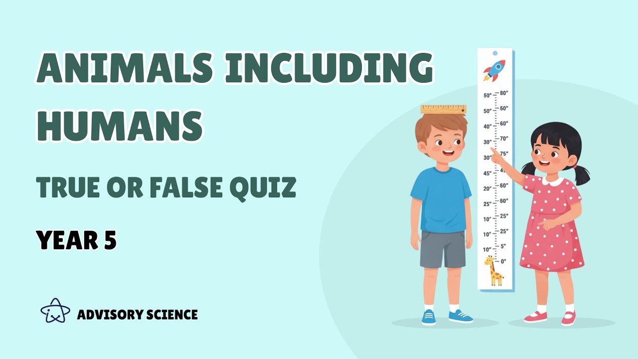 Year 5 Science Quiz: Human Body & Puberty (T/F)