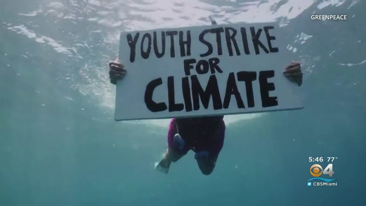 Scientists Say Underwater Meadow Of Seagrass Helping Fight Climate Change