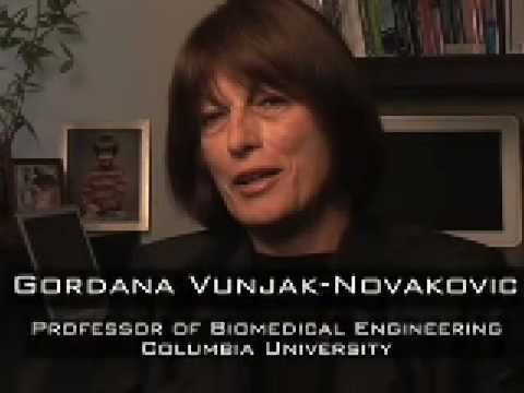 Gordana Vunjak-Novakovic, Professor, Department of Biomedical Engineering, Columbia University, 2008