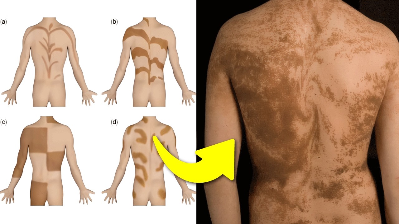 25 Things You Didn't Know in 5 Minutes!! ⏰😲 [265]