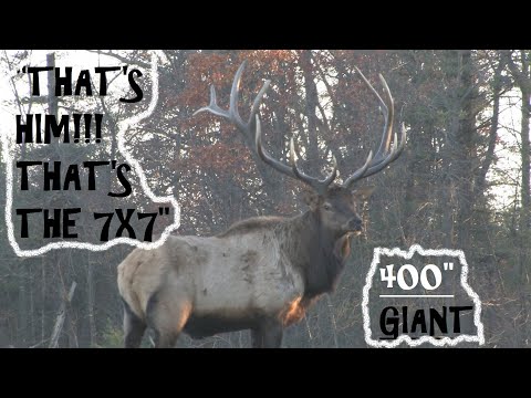 WE KILLED THE NOMAD / Massive 400 inch 7x7 Bull Elk DOWN !!! /