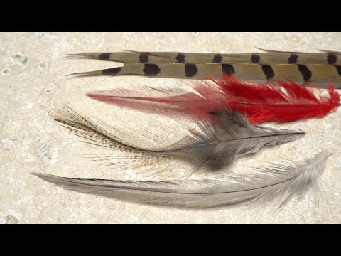 Perfect Tails - Part 1