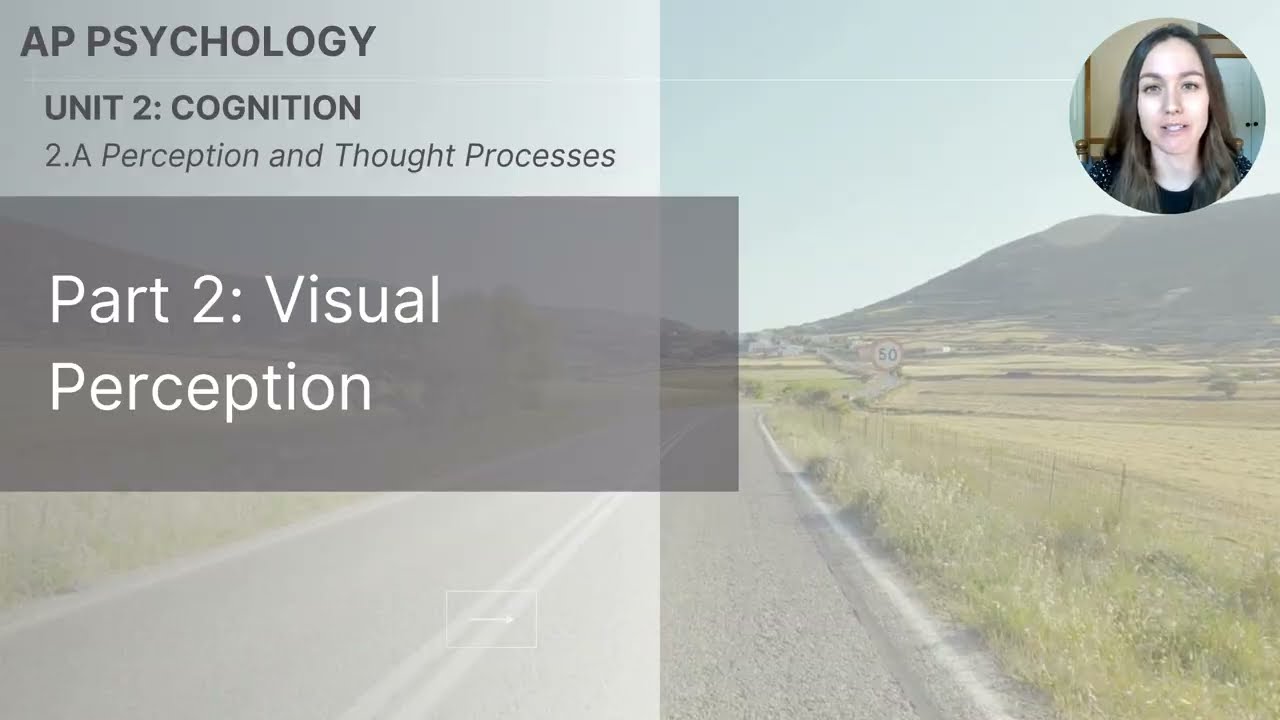 Unit 2A Part 2 Visual Perception (Updated 2025)