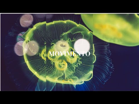 MINDFULNESS MEDITATION. LIFE IMAGES FOR MENTAL HEALTH. #shorts