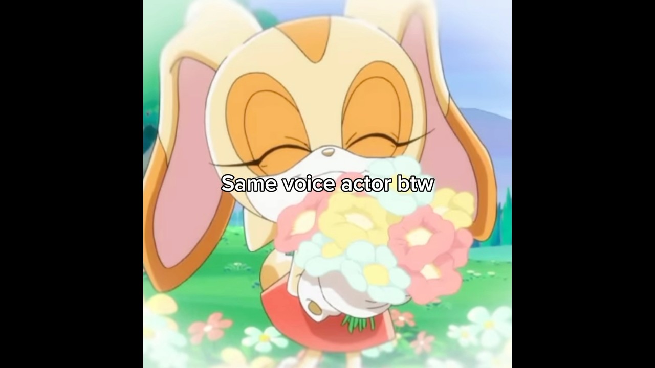 Same va #sonicmemes #sonicx #creamtherabbit