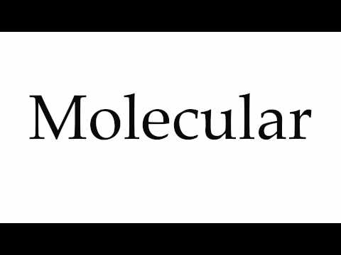 How to Pronounce Molecular