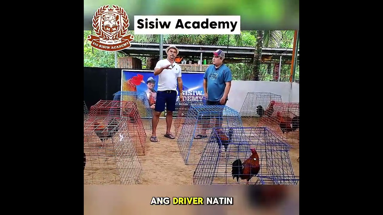 The Champion Selector and Shipper Obet Diaz