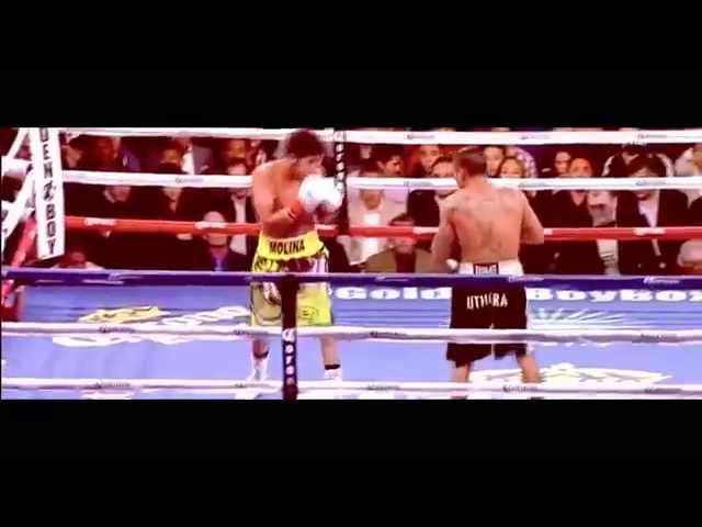 Best boxing knockouts in recent times