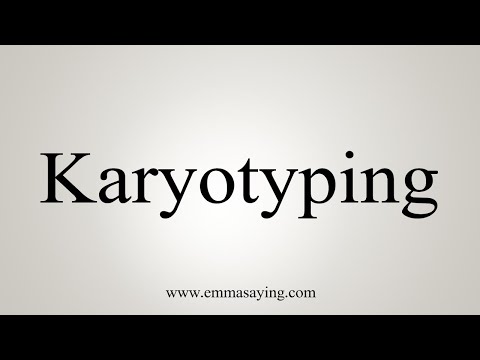 How To Say Karyotyping