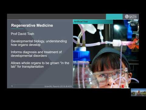 An introduction to biomedical sciences at Bath