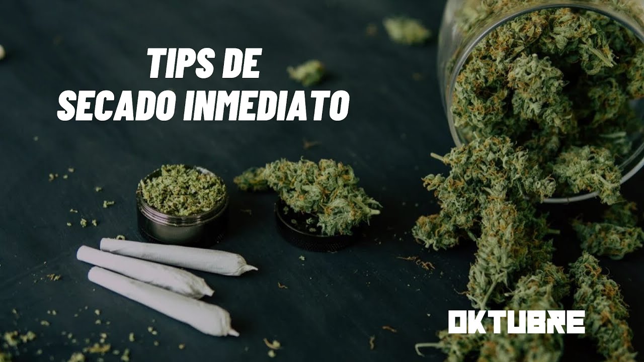 TIPS DE SECADO INMEDIATO: Demi Roch con Ramiro Ruffini