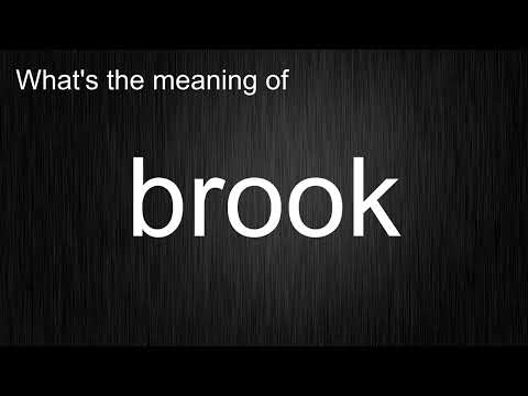 What's the meaning of "brook", How to pronounce brook?