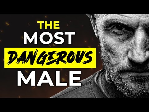 Why Sigma Males Are The Most Dangerous Breed