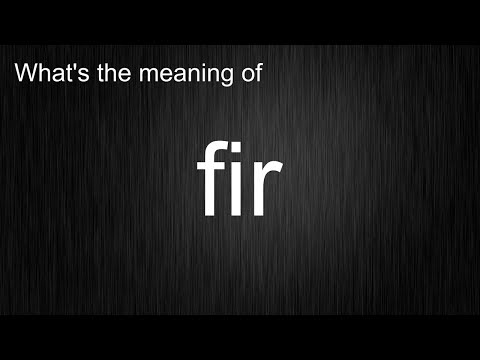 What's the meaning of "fir", How to pronounce fir?