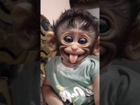 Cute baby monkey smile ???????????????? cartoon #funny #shorts