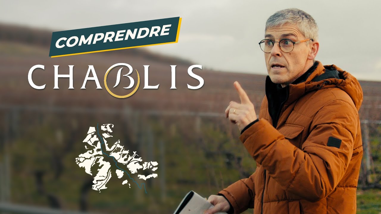 Les Vins de Chablis (expliqués par un Sommelier)