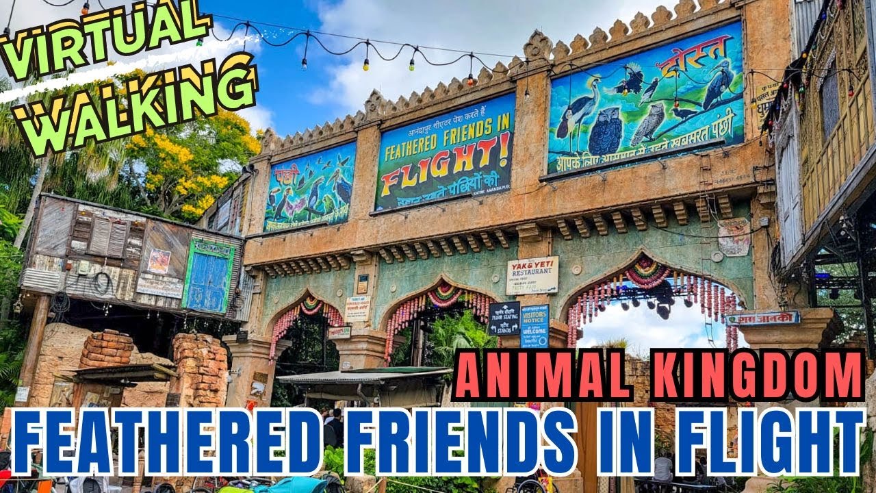 Animal Kingdom Show *  Feathered Friends in Flight * Disney World  Orlando FL