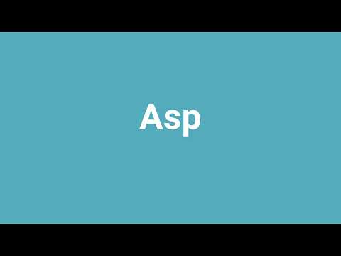 'Asp' Meaning and Pronunciation
