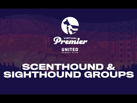 UKC Virtual Premier Total Dog Challenge: Scenthound & Sighthound Groups