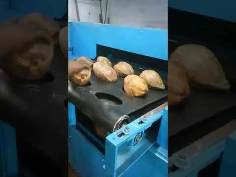 Coconut Processing Machinery at Best Price in India