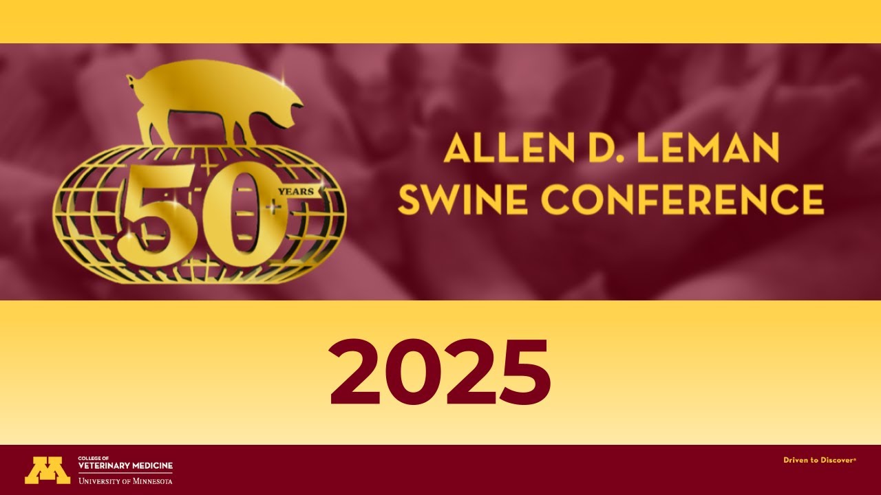 Artificial intelligence in swine management and breeding: Opportunities and applications